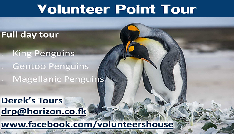 Volunteer Point Tour - Falkland Islands