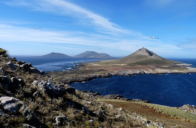 Discover Jason Islands, Falklands