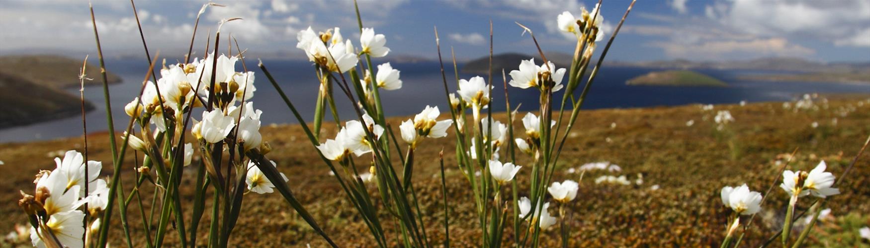 Visit The Falkland Islands | Falklands