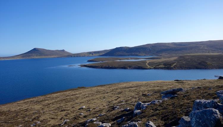 Port Stephens - Things to Do in the Falkland Islands