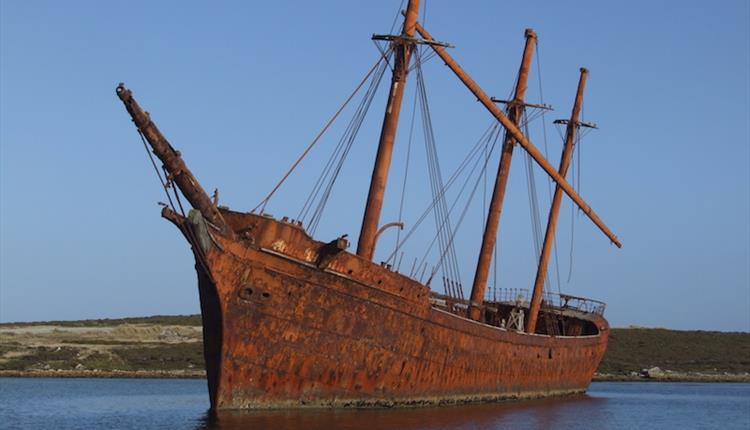 Lady Elizabeth Shipwreck - Things to Do in the Falkland Islands