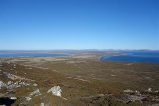 Pebble Island - Things to Do in the Falkland Islands